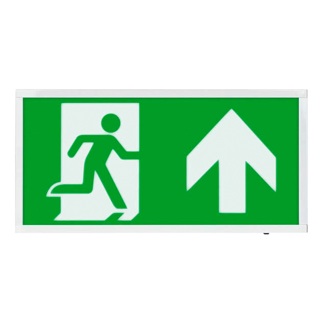 ESP Duceri Emergency Surface Exit Box 3W LED IP20 - Up (D120UWH) — adk ...