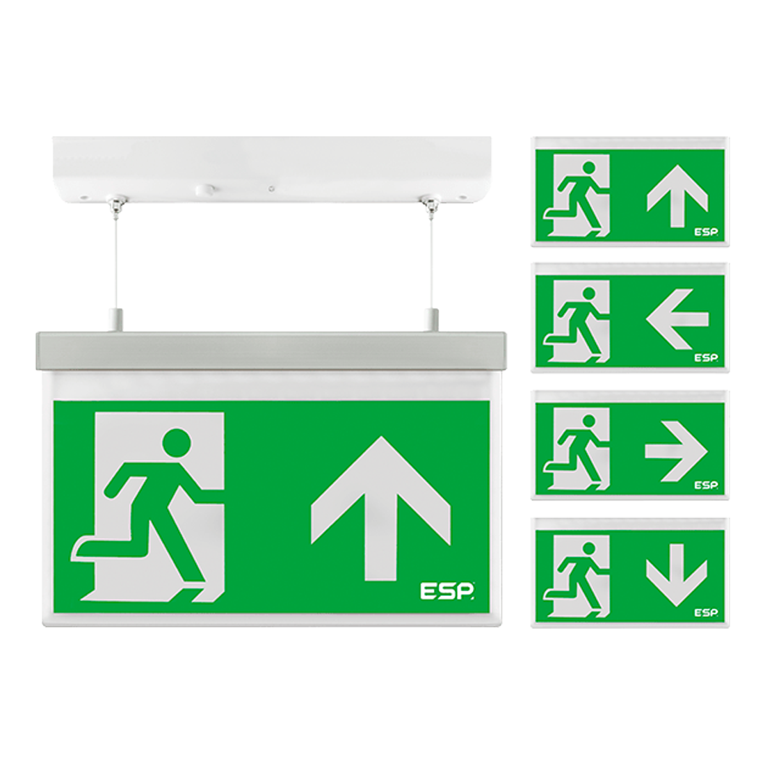 ESP Duceri Emergency Hanging Exit Sign 3W LED IP20 - All Legends (D330 ...
